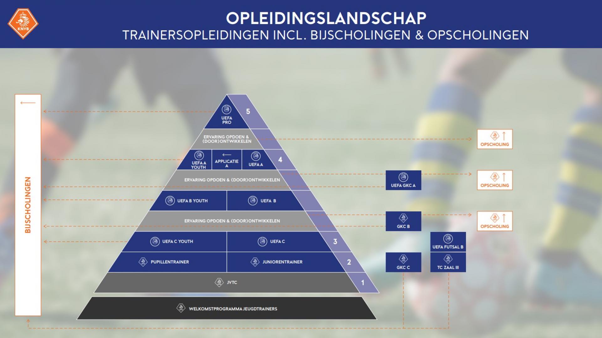 Opleidingen & bijscholingen Trainers | KNVB